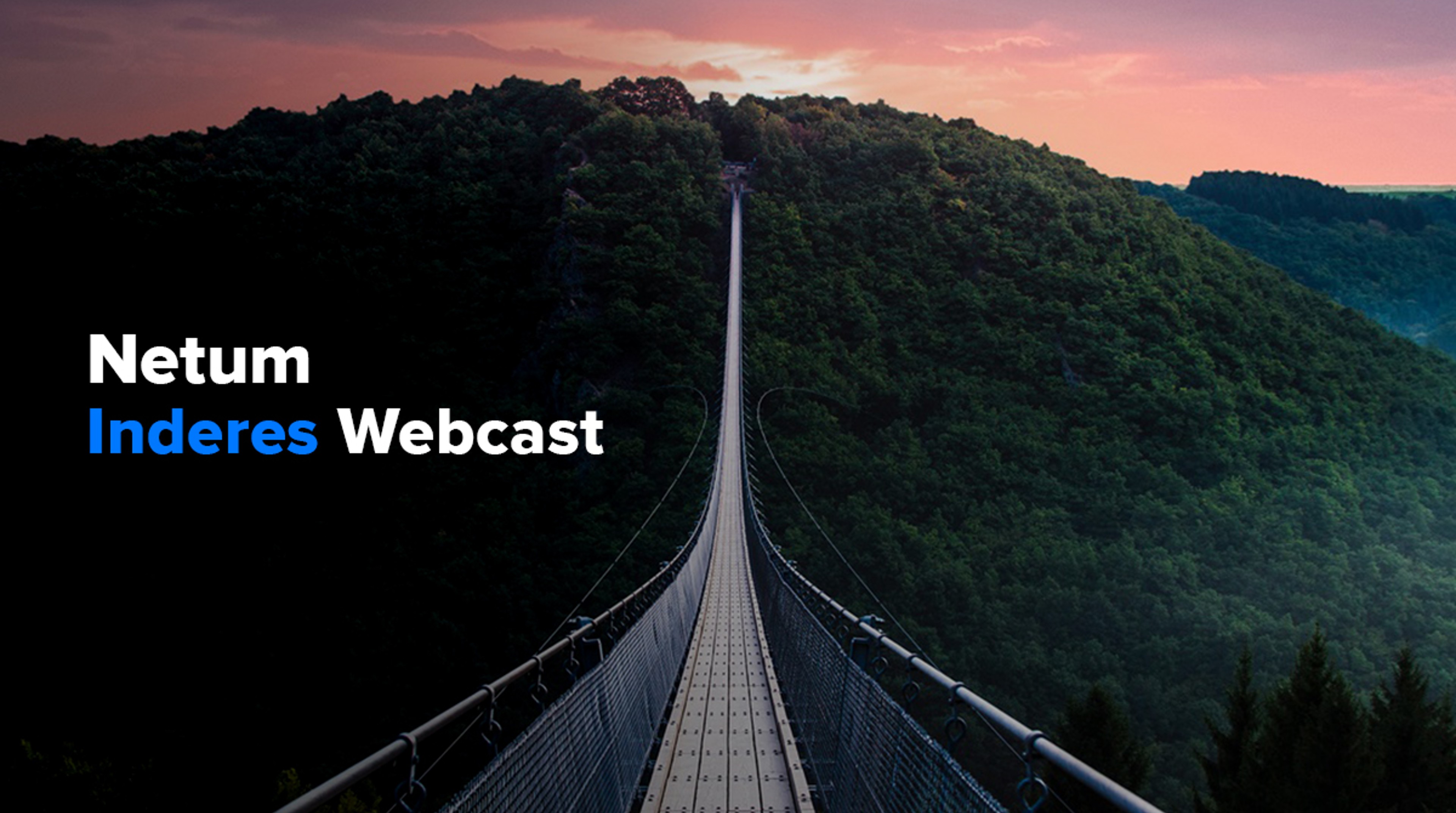 Netum Group - Inderes