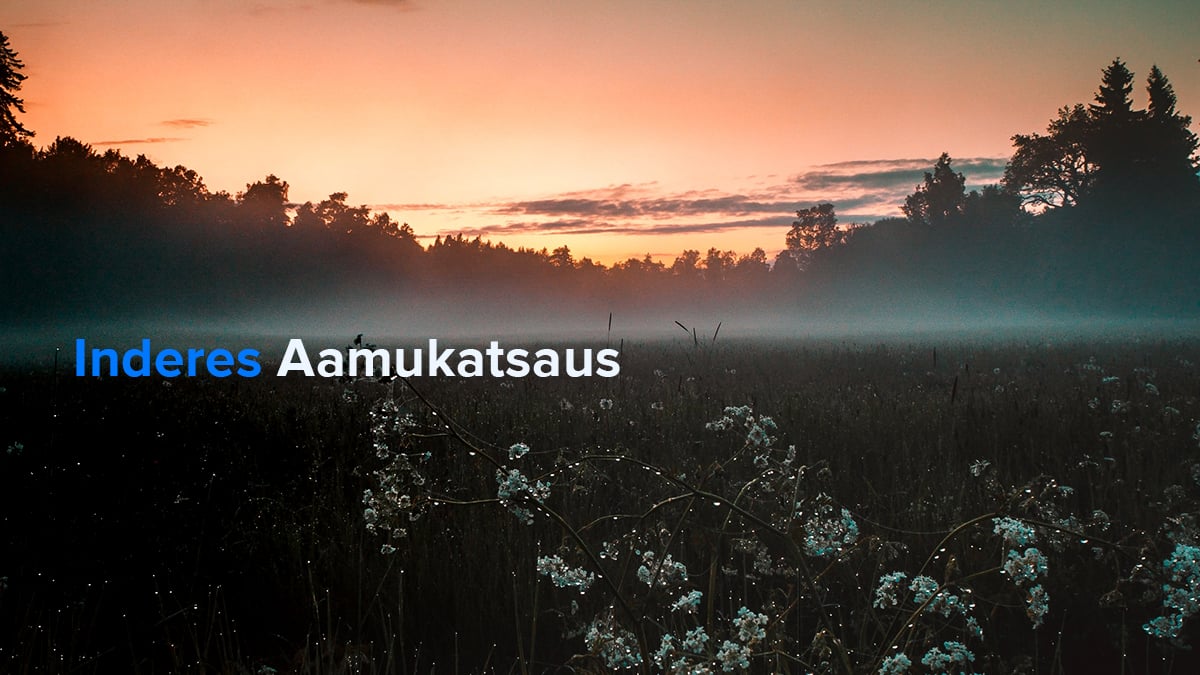 Taaleri Q2'24: Yhtiötä saa alle osien arvon - Inderes